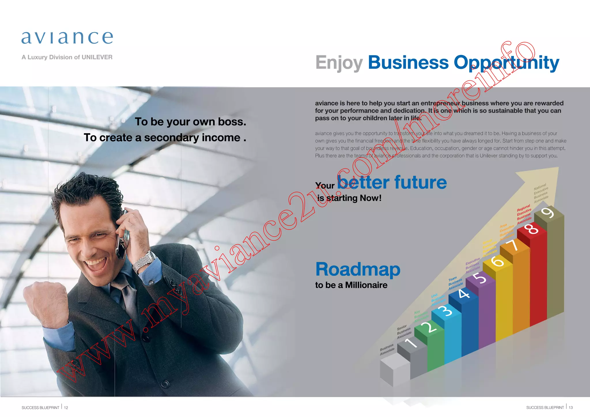 Aviance unilever profile syarikat | PDF