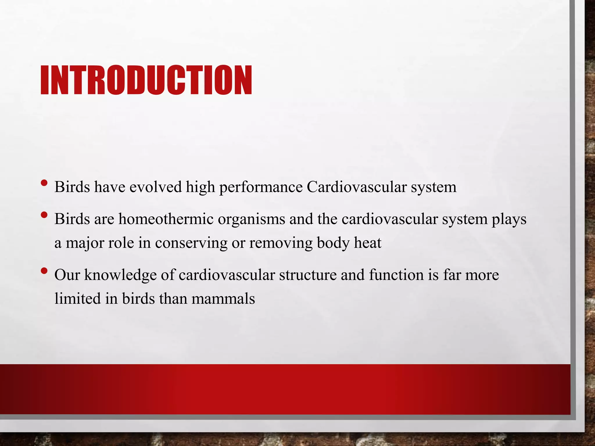 Avian circulatory system | PPTX