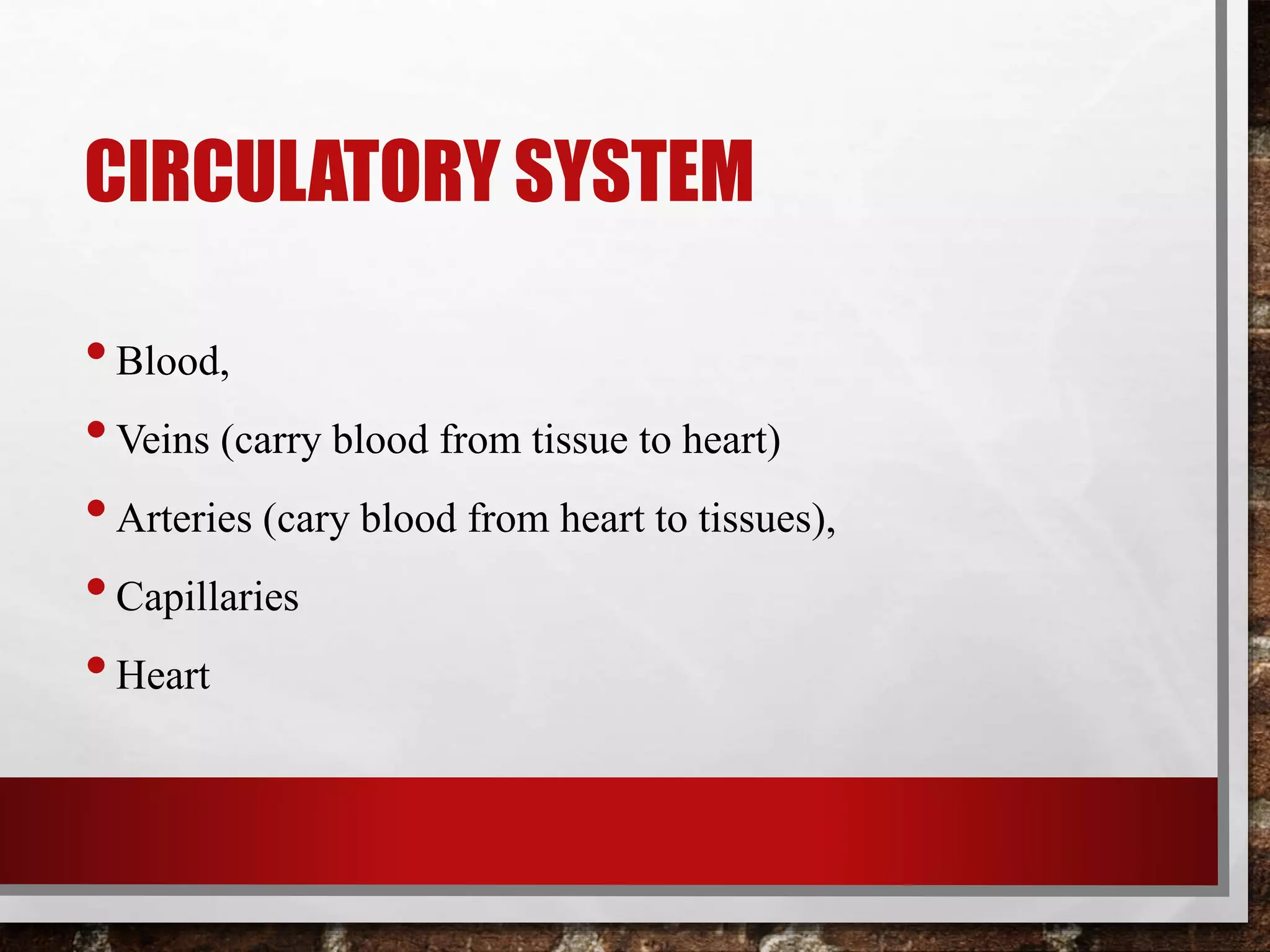 Avian circulatory system | PPTX