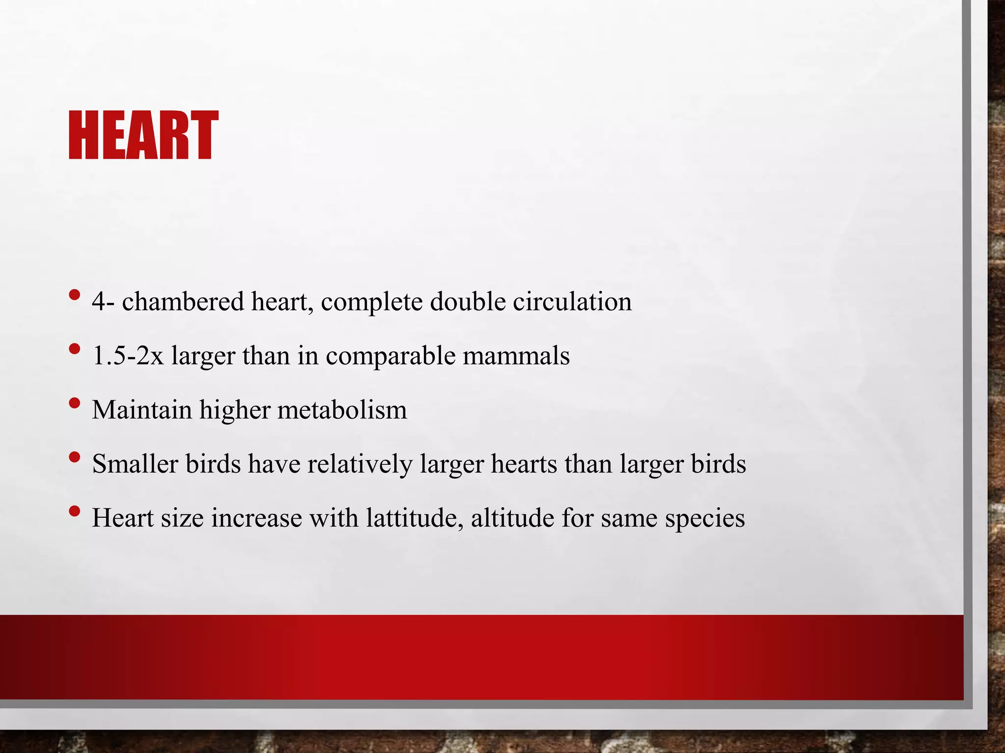 Avian circulatory system | PPTX