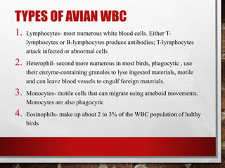 Avian circulatory system | PPTX