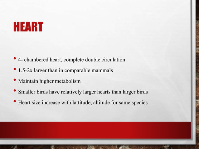 Avian circulatory system | PPTX | Heart and Cardiovascular Diseases ...