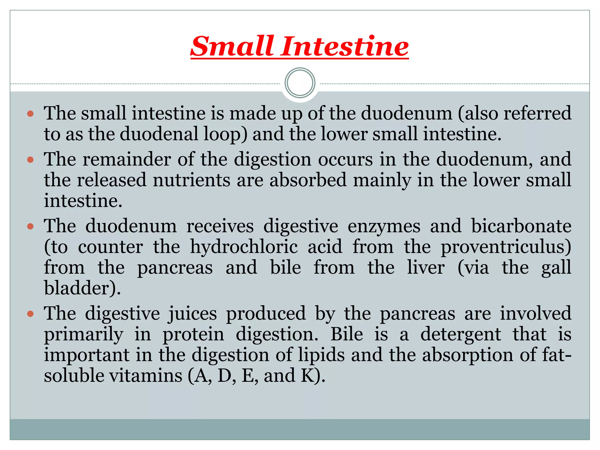 Avian digestive system | PPTX