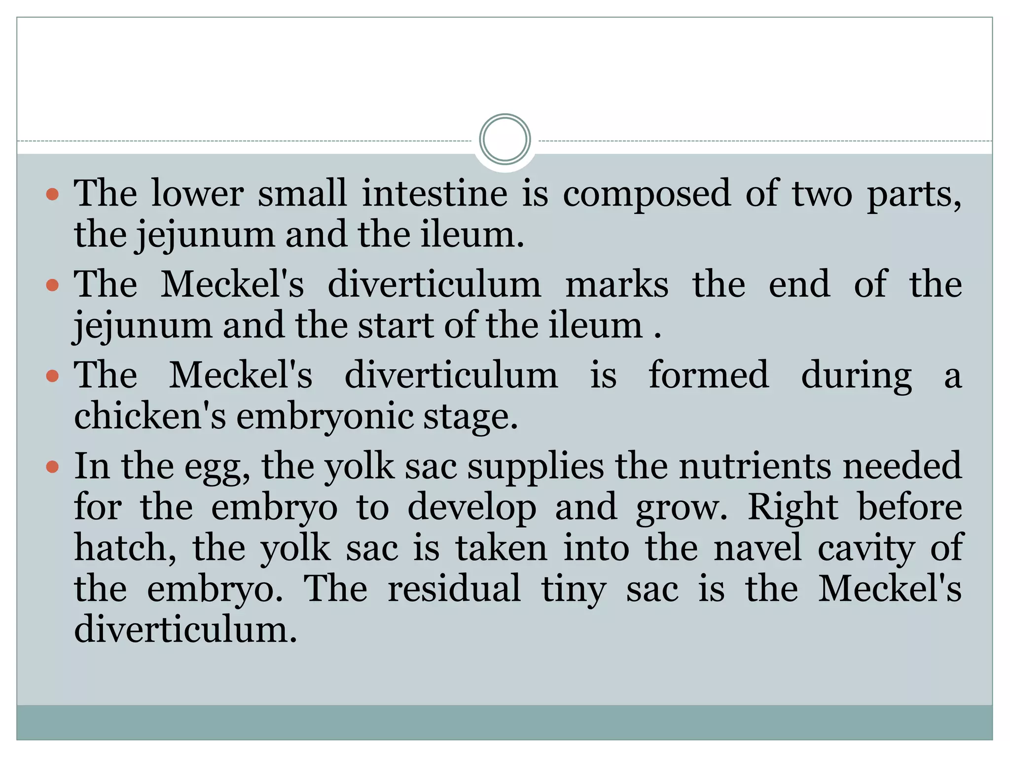 Avian digestive system | PPTX