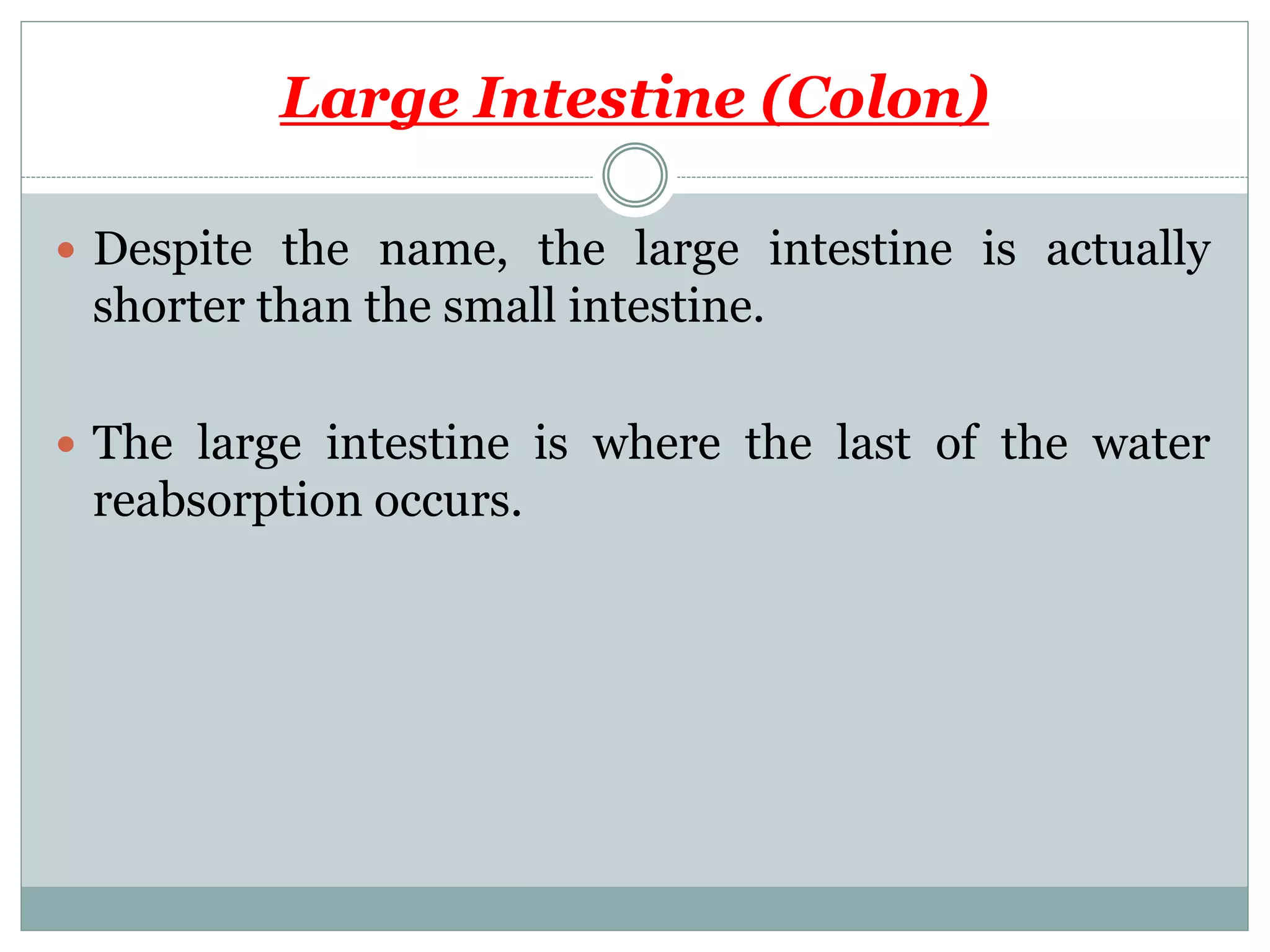 Avian digestive system | PPTX