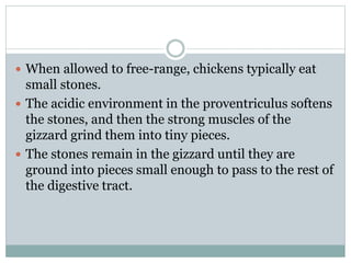 Avian digestive system | PPTX