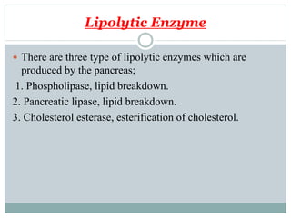 Avian digestive system | PPTX