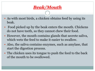 Avian digestive system | PPTX
