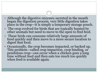 Avian digestive system | PPTX