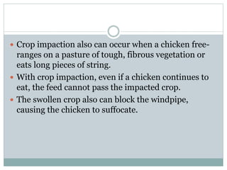 Avian digestive system | PPTX