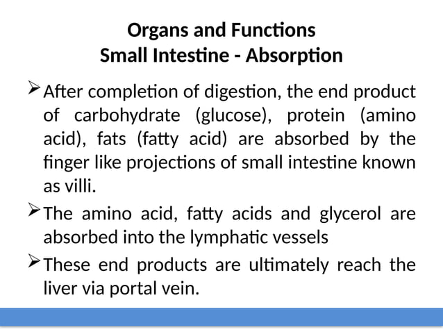 Avian digestive system.pptx lecture notes | PPT