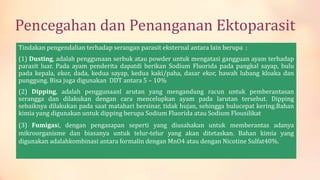 Avian ectoparasites | PPTX