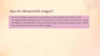 Avian ectoparasites | PPTX