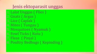Avian ectoparasites | PPTX