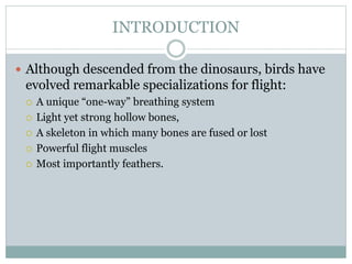 Avian fauna in paleontology geology based | PPTX
