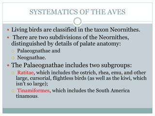 Avian fauna in paleontology geology based | PPT