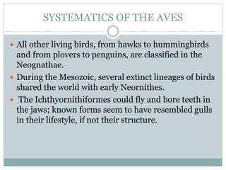 Avian fauna in paleontology geology based | PPT