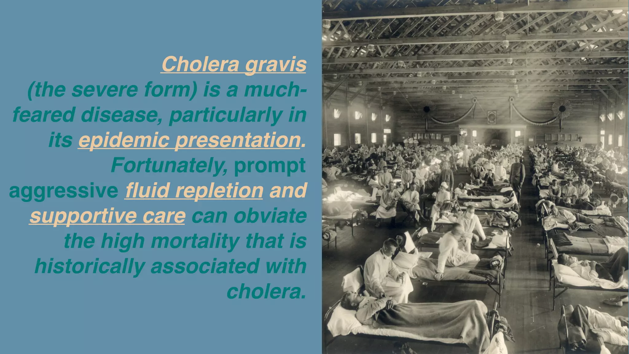 Avian flu and cholera | PDF