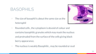 AVIAN HAEMATOLOGY.pptx