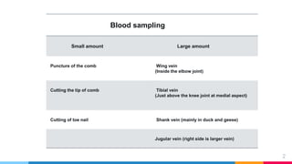 AVIAN HAEMATOLOGY.pptx
