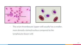 AVIAN HAEMATOLOGY.pptx
