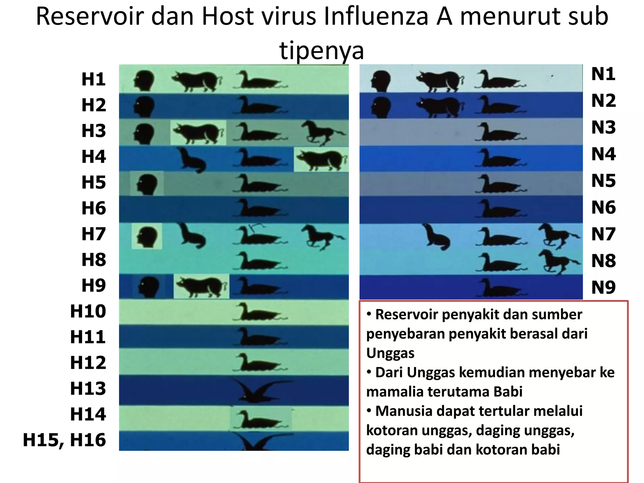 Avian influenza | PDF