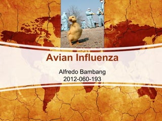 Avian influenza | PDF