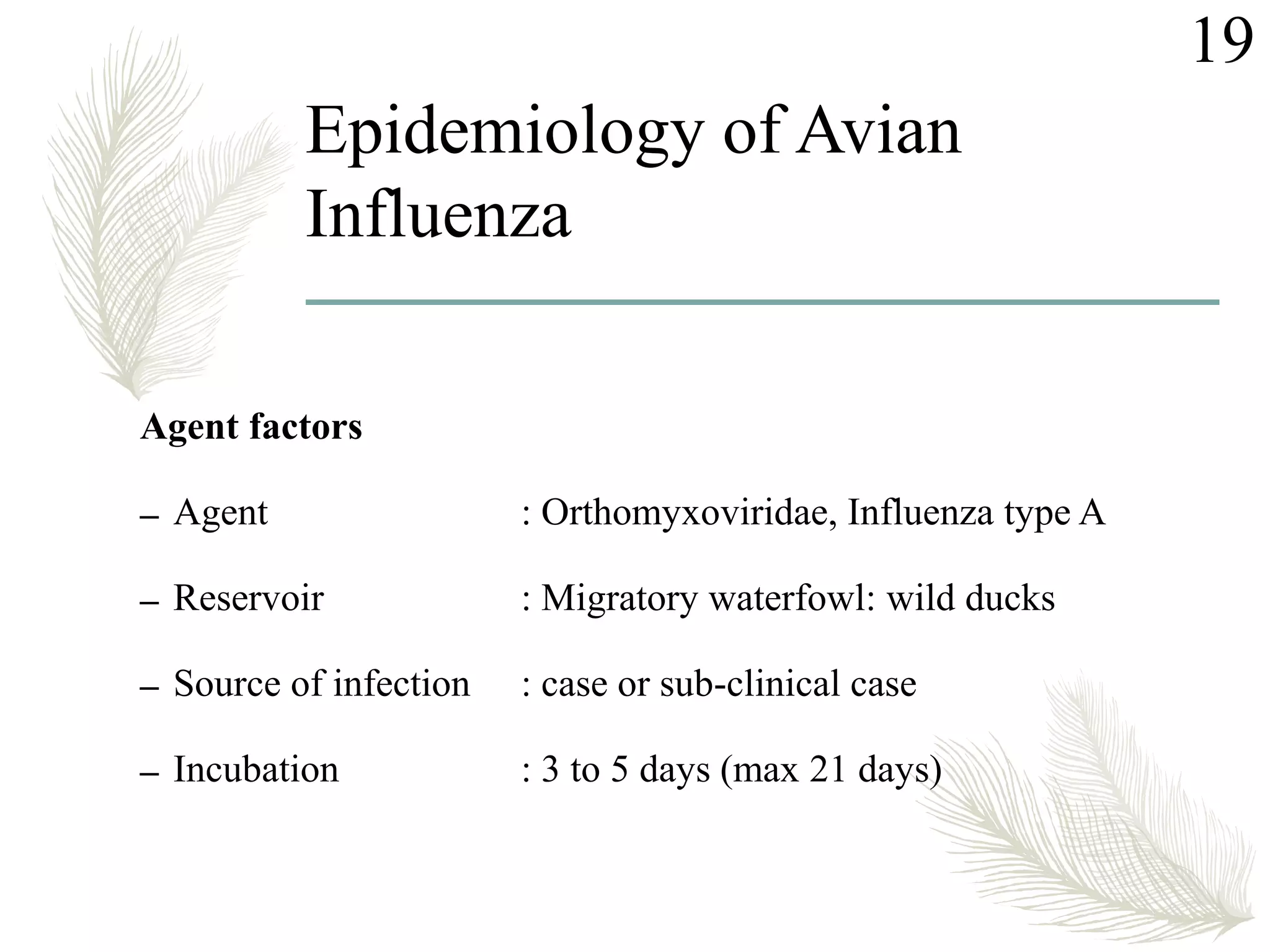 Avian influenza | PPTX