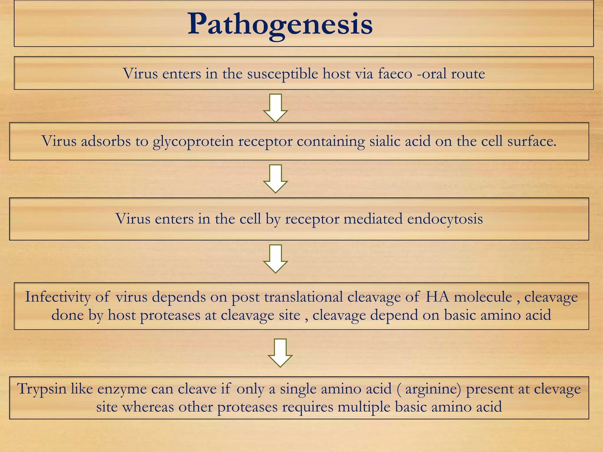 Avian influenza | PPTX