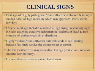 Avian influenza | PPTX