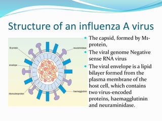 Avian influenza | PPTX