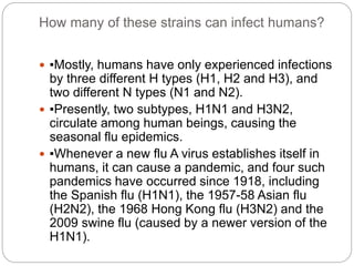 Avian influenza | PPTX