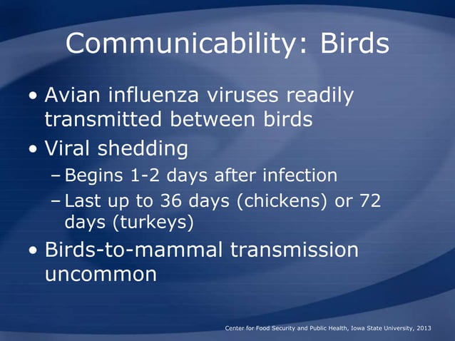 AvianInfluenza.ppt
