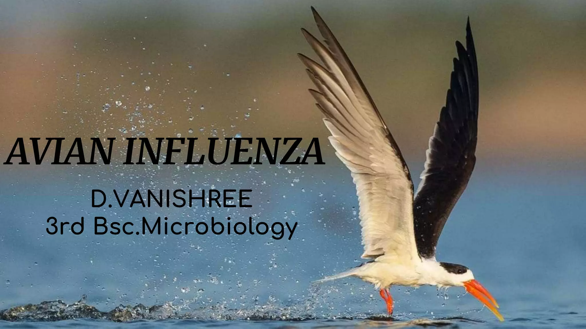 AVIAN INFLUENZA.pptx