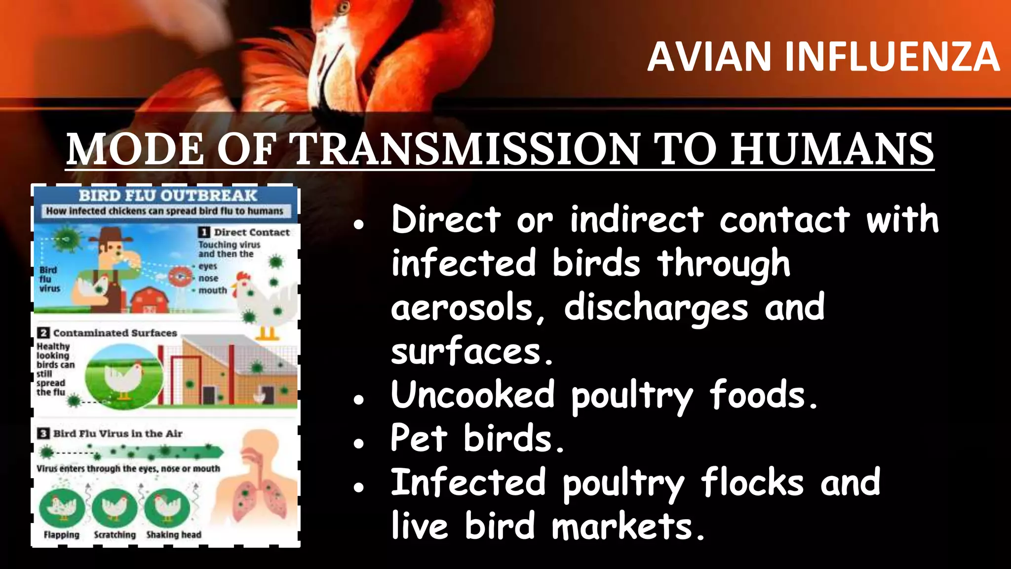 AVIAN INFLUENZA.pptx