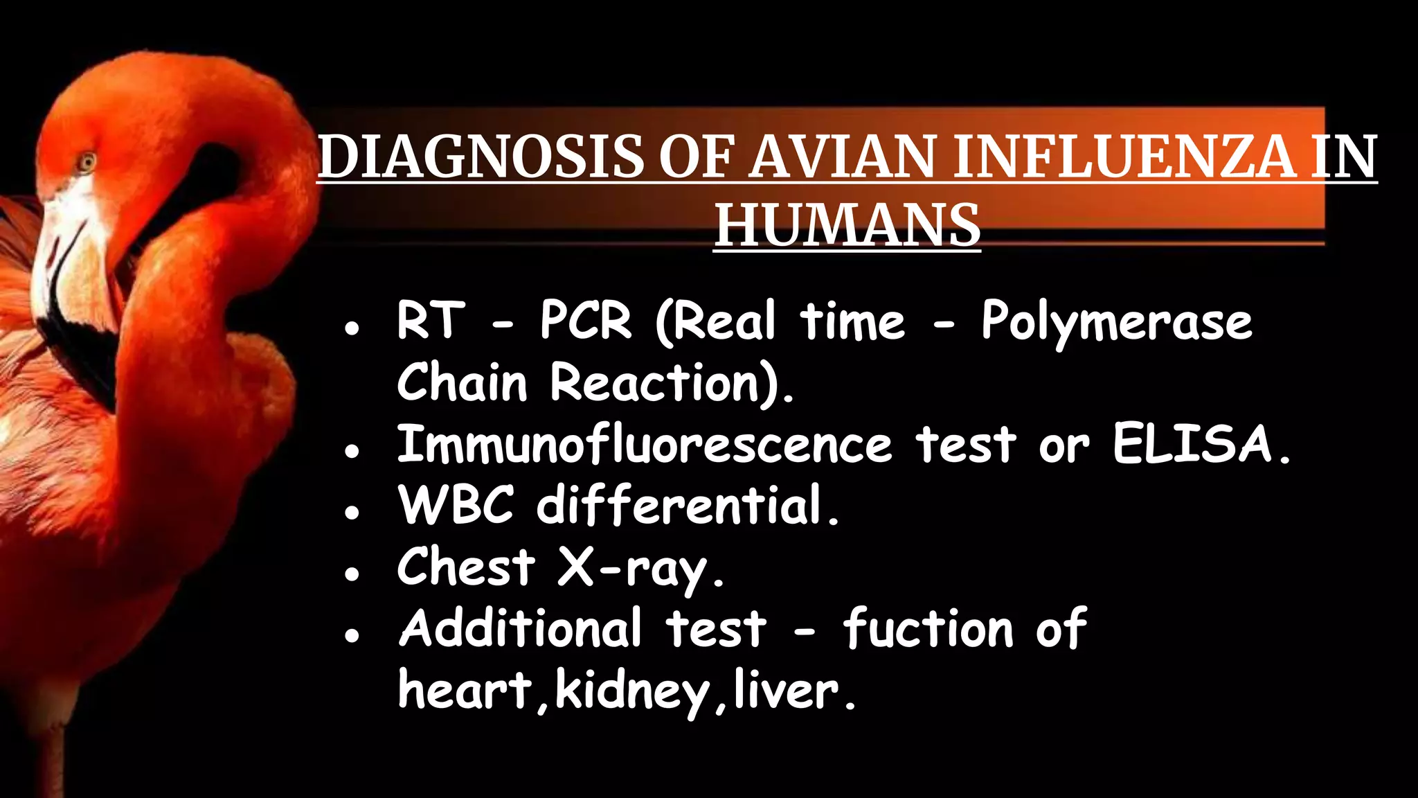 AVIAN INFLUENZA.pptx