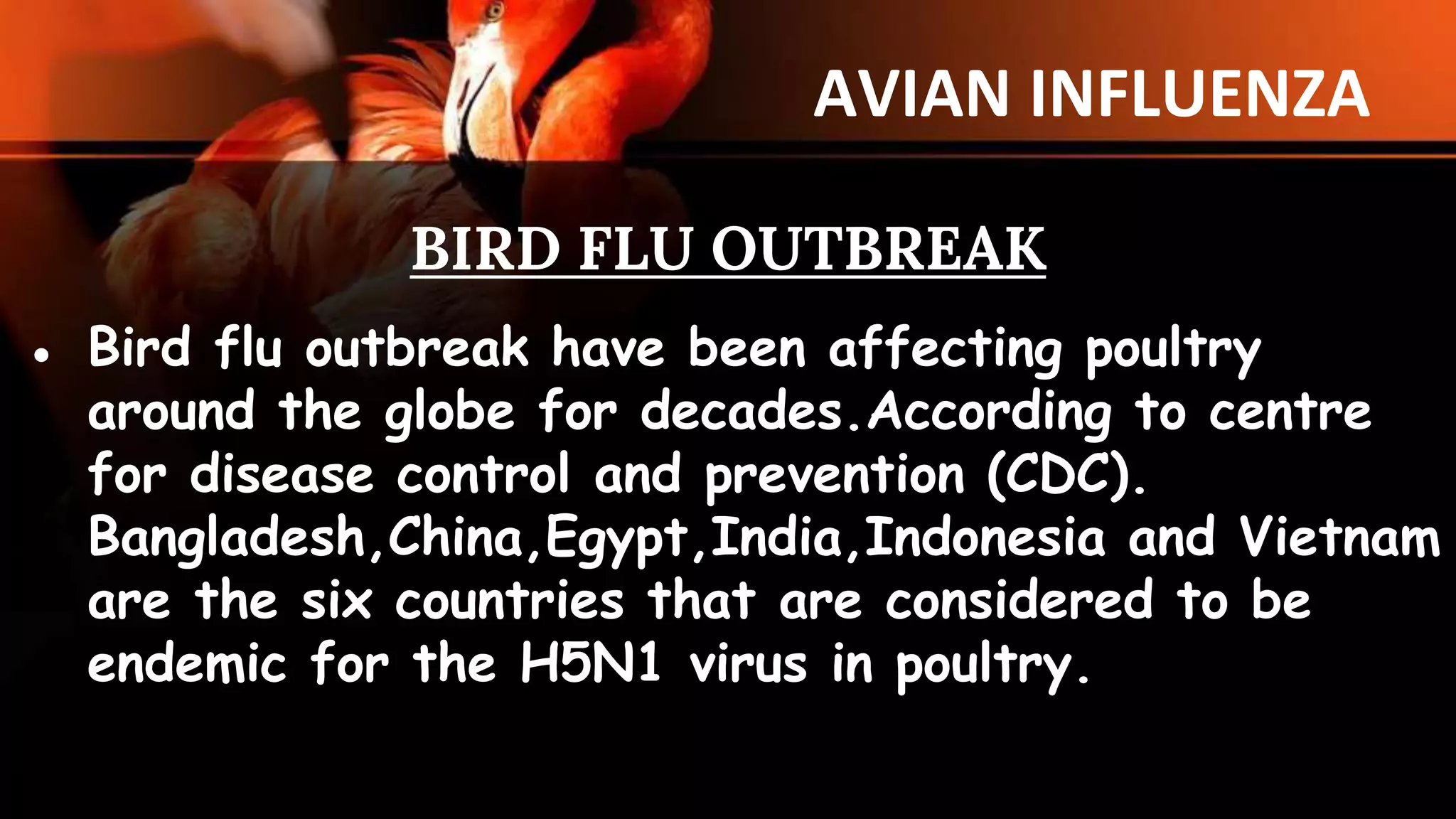 AVIAN INFLUENZA.pptx