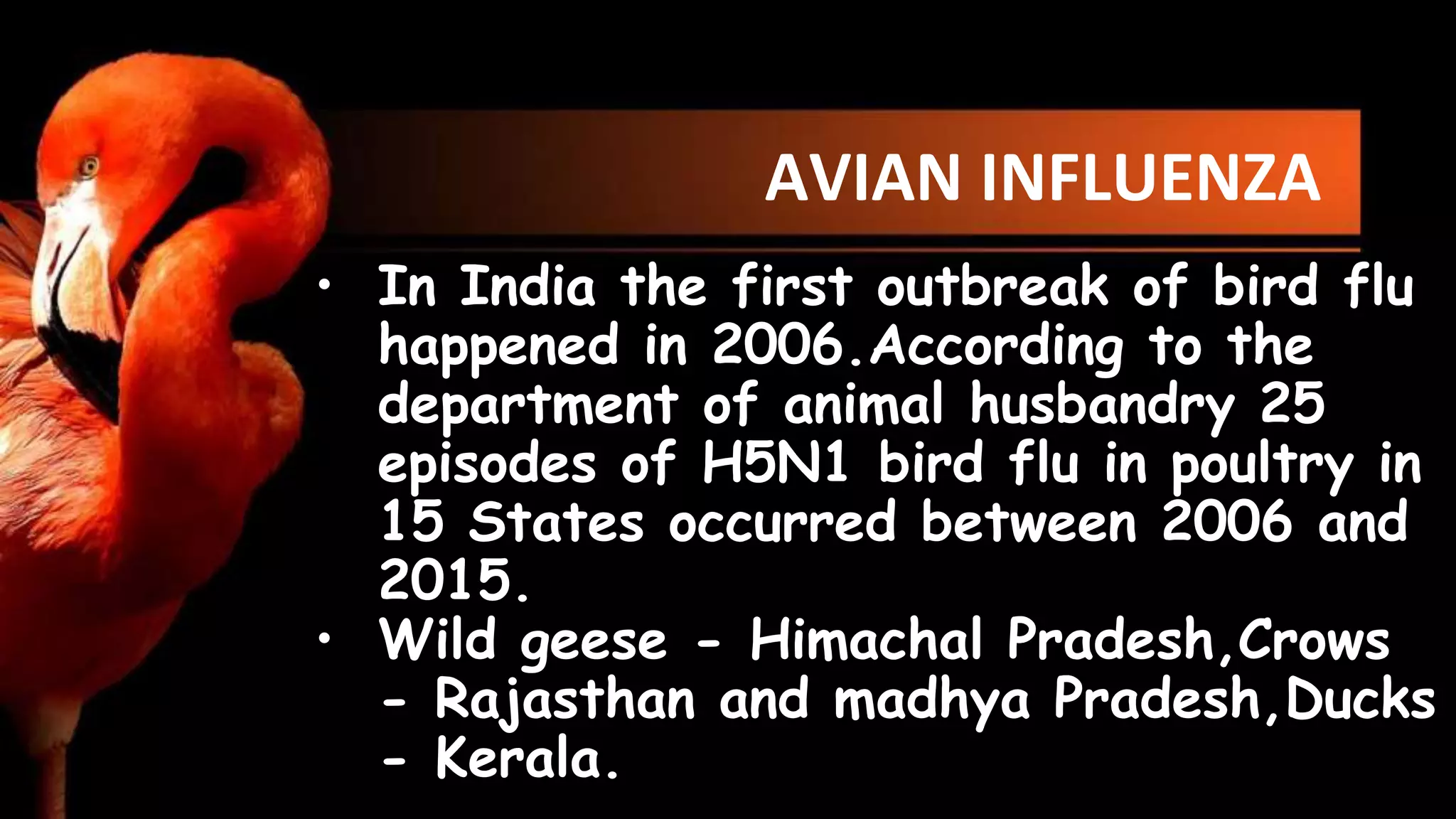 AVIAN INFLUENZA.pptx