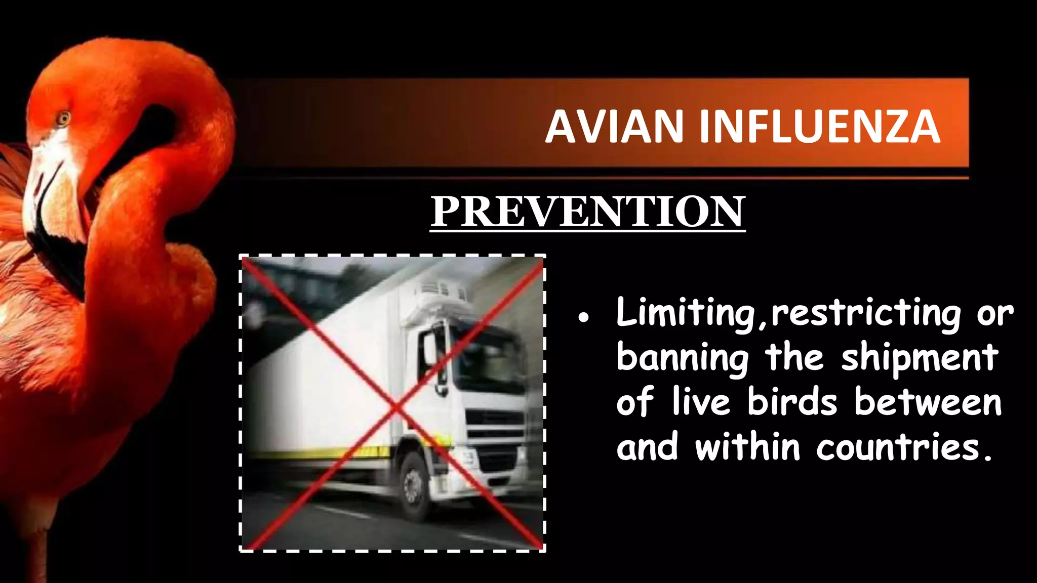 AVIAN INFLUENZA.pptx