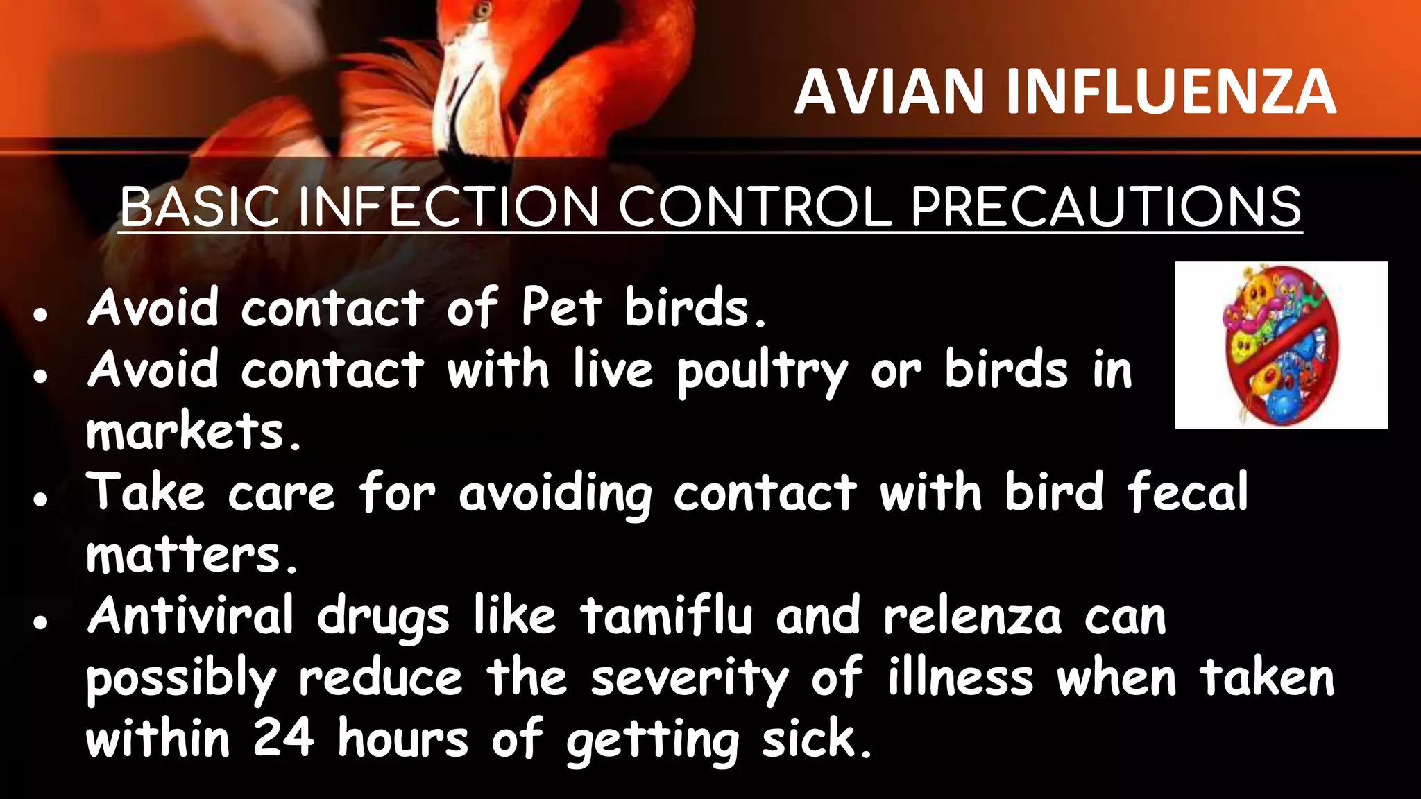 AVIAN INFLUENZA.pptx