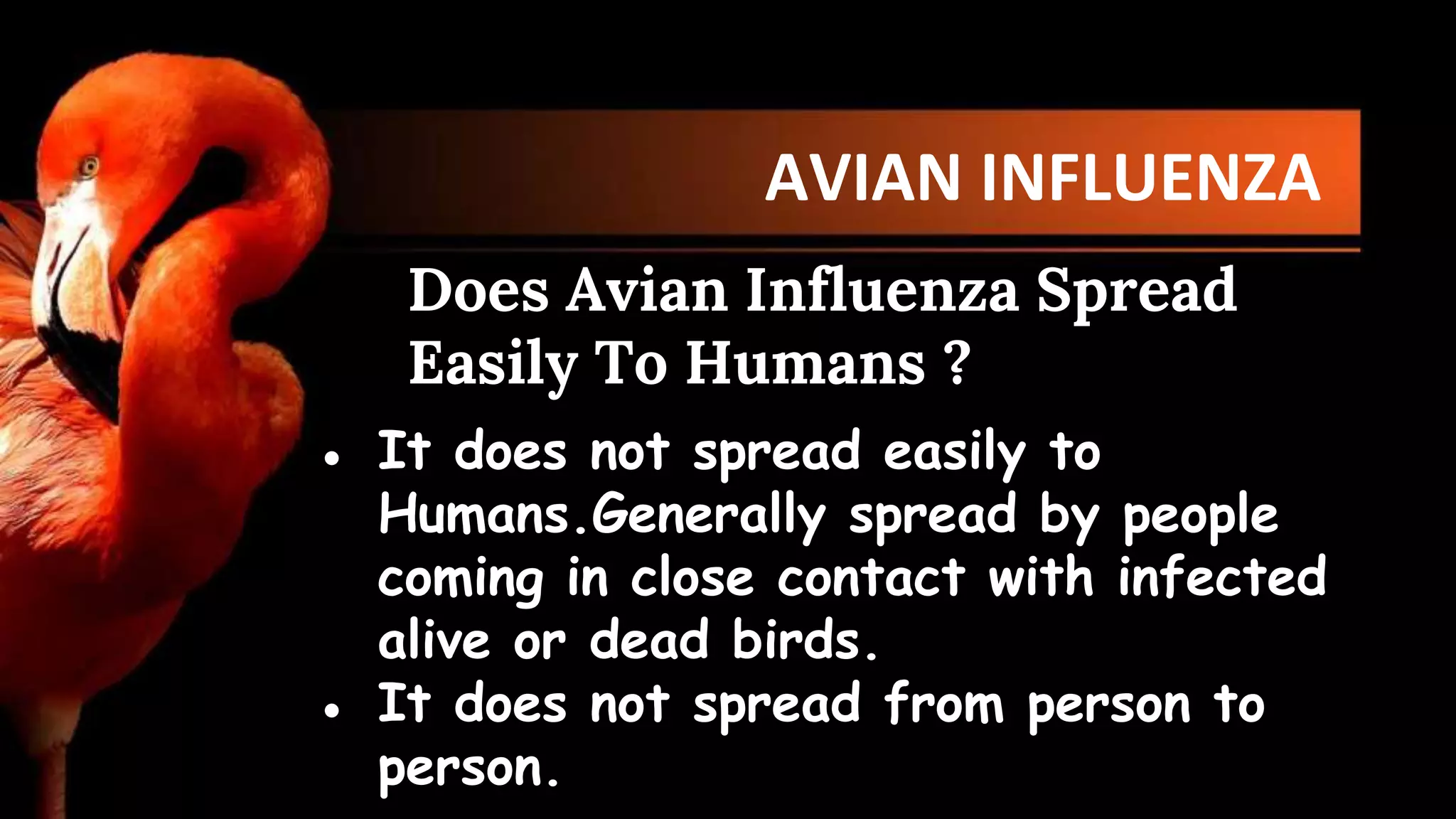 AVIAN INFLUENZA.pptx