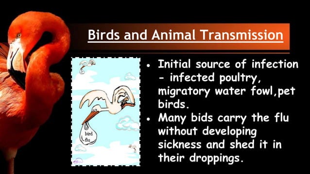 AVIAN INFLUENZA.pptx