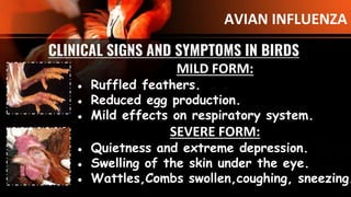 AVIAN INFLUENZA.pptx