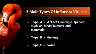 AVIAN INFLUENZA.pptx