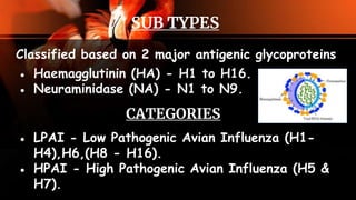 AVIAN INFLUENZA.pptx