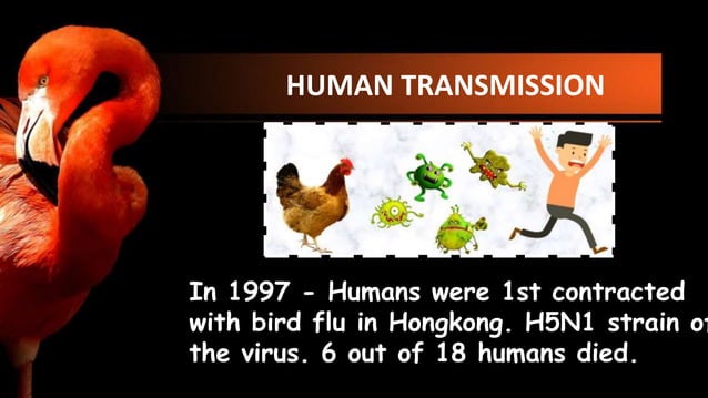 AVIAN INFLUENZA.pptx