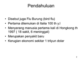 Avian_Influenza.ppt epidemiologi flu burung | PPT