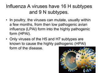 AvianInfluenza (1).ppt