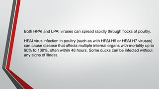 Avian influenza disease in poultry | PPT