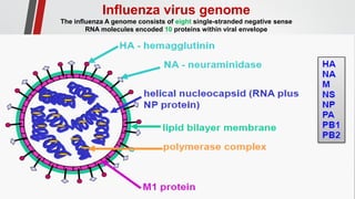Avian influenza disease in poultry | PDF